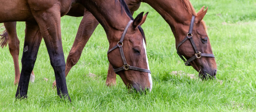 Get in touch with Australian Farmers Travel today.